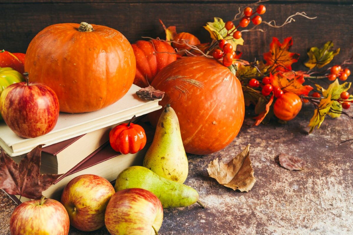 Fall Superfoods: Nutrient-Rich Options for Seasonal Wellness - Debu ...
