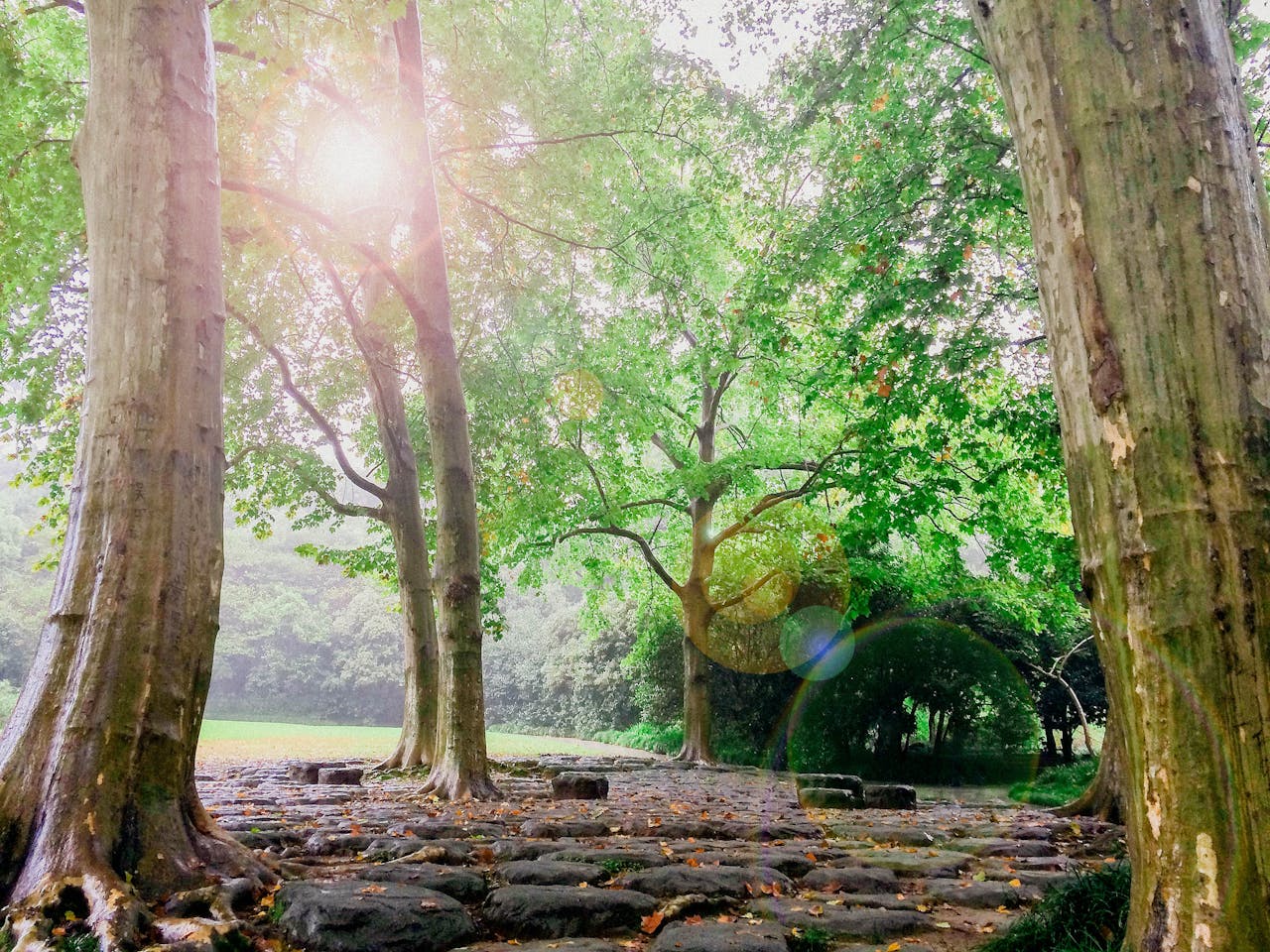 Six Best Nature Destinations In Toronto - Debu Magazine